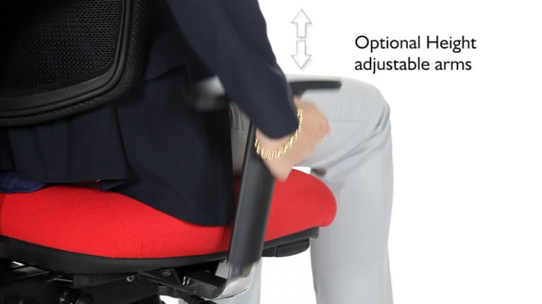 8 Tips To Set Up Your Ergo Chair | BFX Furniture