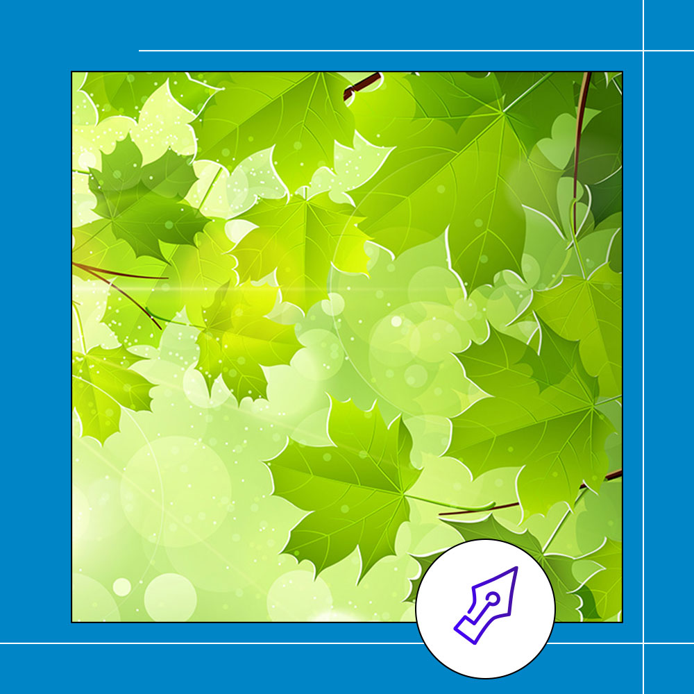 4 Great Tips For A Green Office